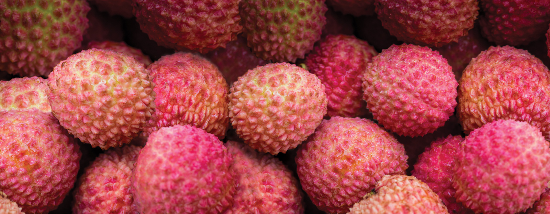 Lychees | Fresh Grown By Hydro Produce Australia