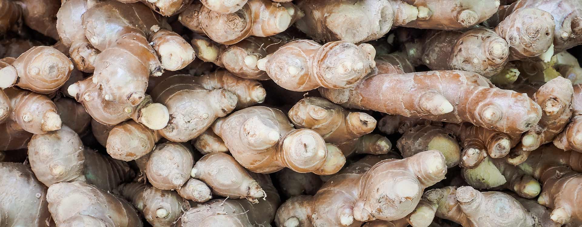 Hard Vegetables | Fresh Grown Year Round By Hydro Produce Australia